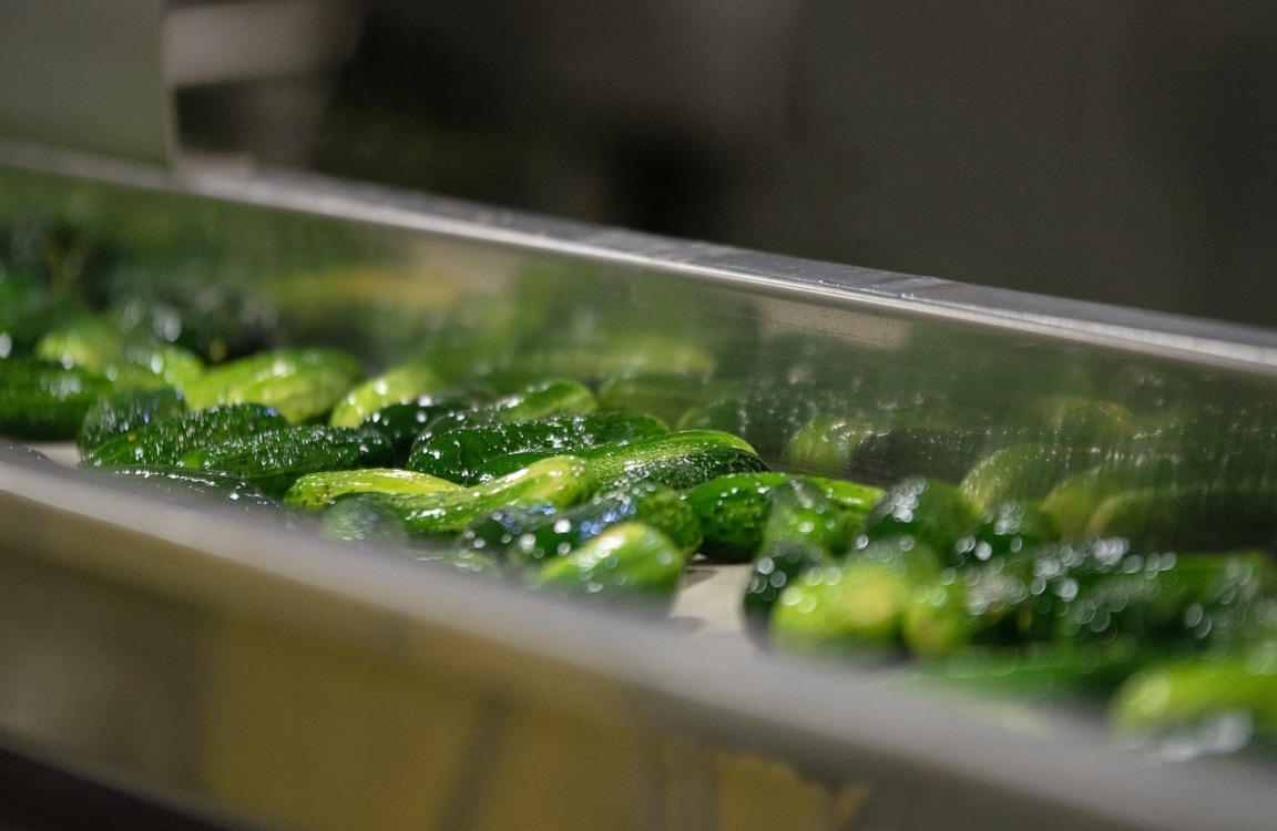 Swander Pace Capital completes sale of Wayne pickle manufacturer ...