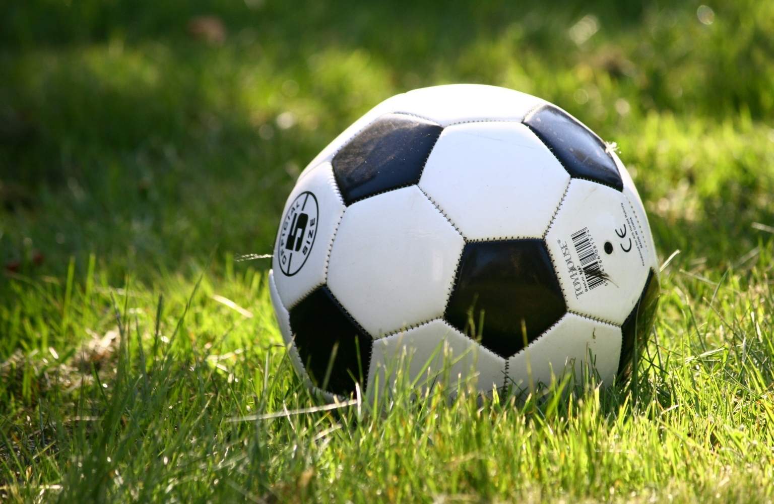 'Kick It in Newark' campaign launched for FIFA World Cup 2026 | ROI-NJ