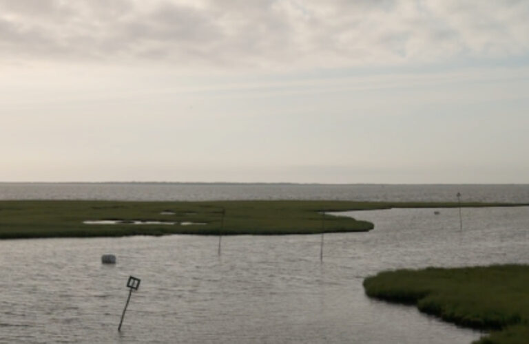 NJBIA debuts 'Rethink RGGI' campaign to drop energy costs, improve ...